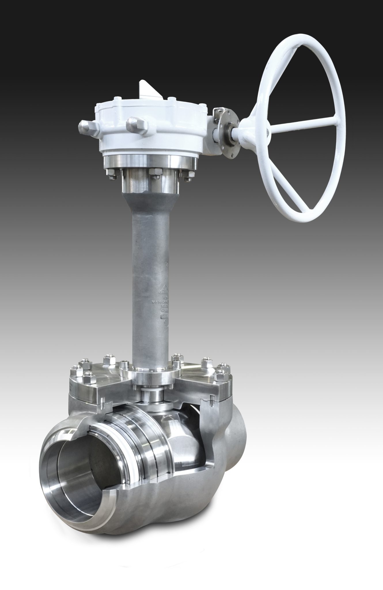BAC Valves – resilience and excellence in the global market