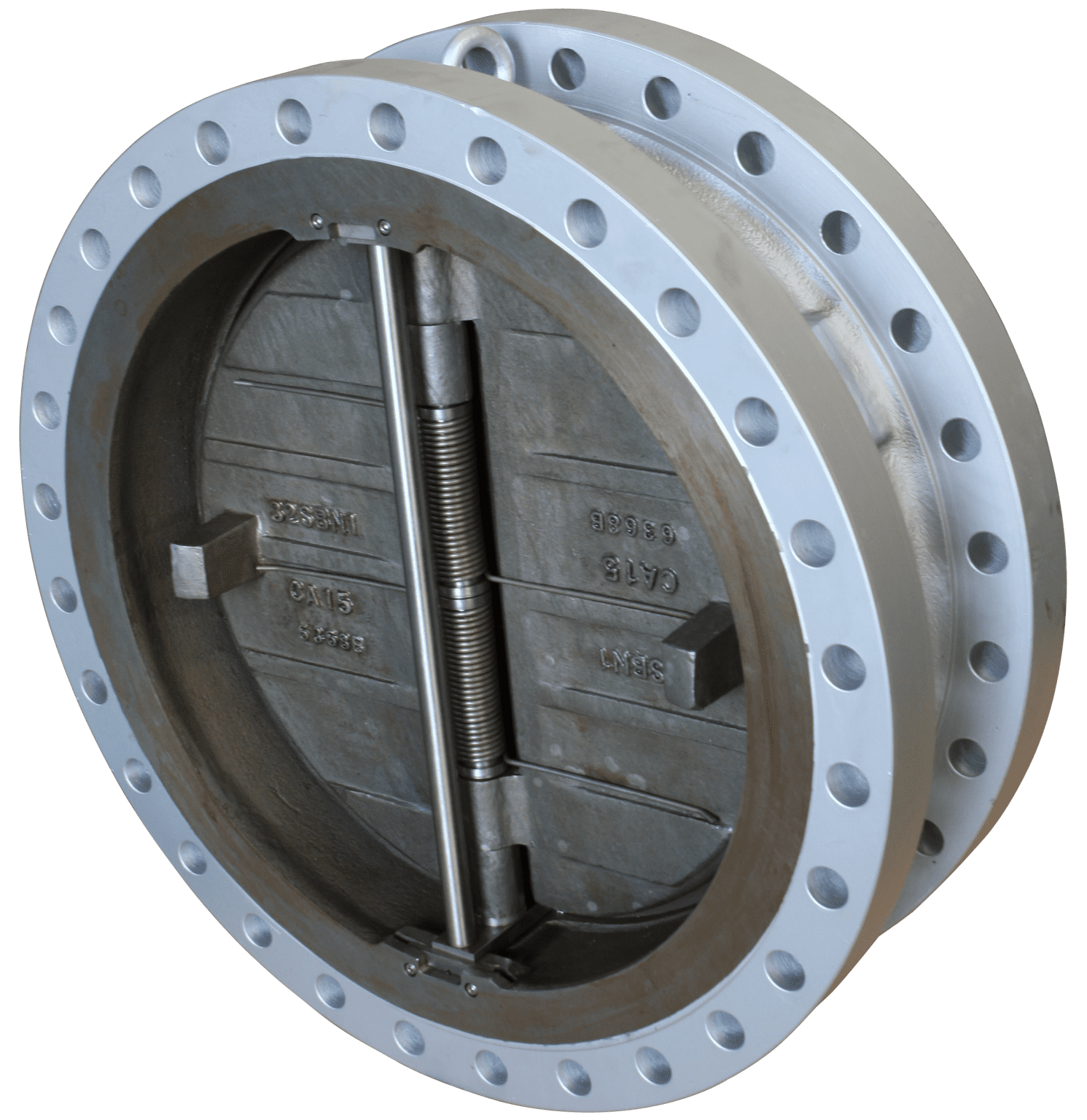 General check valve selection - Valve World
